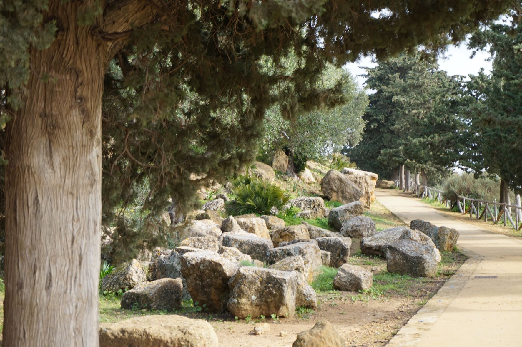Agrigento, Sicily - Has Anyone Seen My Toga? | Thirsty Explorer®